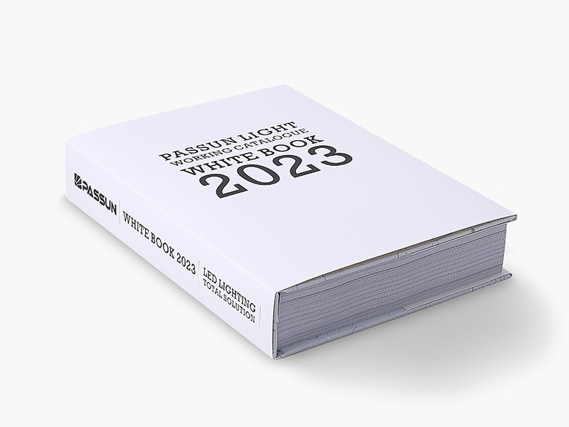 China Professional LED Lighting | Manufacturer & Supplier - PASSUN